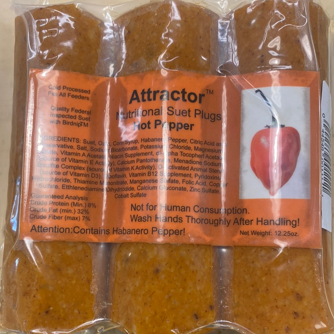 Suet Plug, Hot Pepper Attractor – Winged Feed and Seed Company